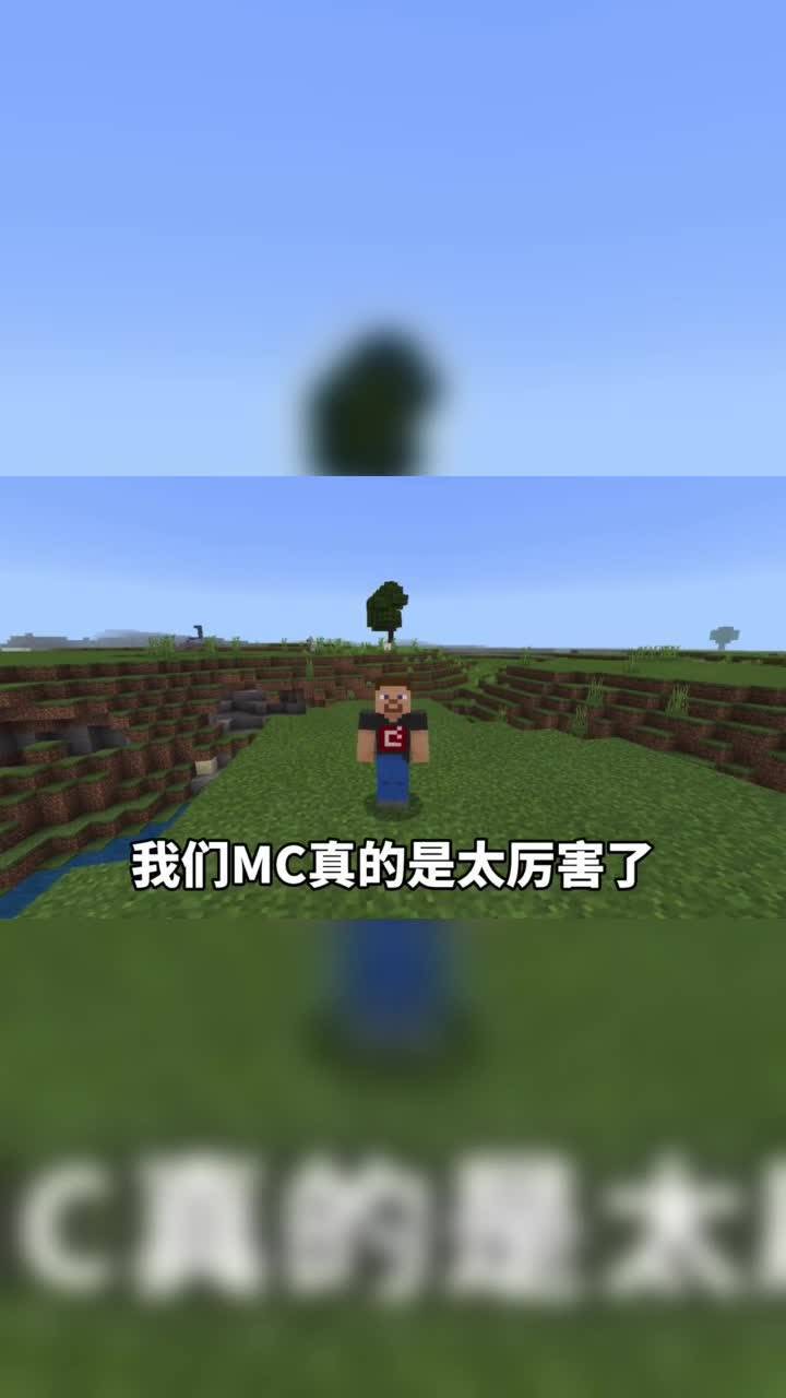 我的世界:假如用伏拉夫的方式打开MC?
