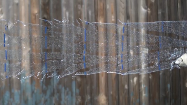 老外用高速相机记录下玻璃破碎的瞬间,像是发现了新大陆!