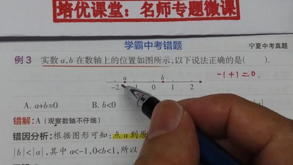 中考真题汇编:实数a,b在数轴上的位置如图所示,以下说法正确的