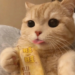 付青衿 