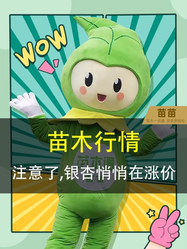 哪种规格的银杏正在悄悄涨价,苗木人注意了。 #苗木通 #苗木行情 #...