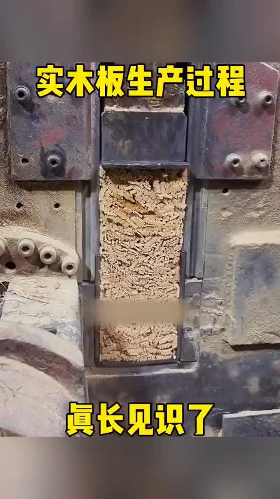 实木板的生产过程,这真是第一次看见啊!