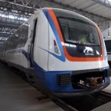 一只孤独的A5老鼠 