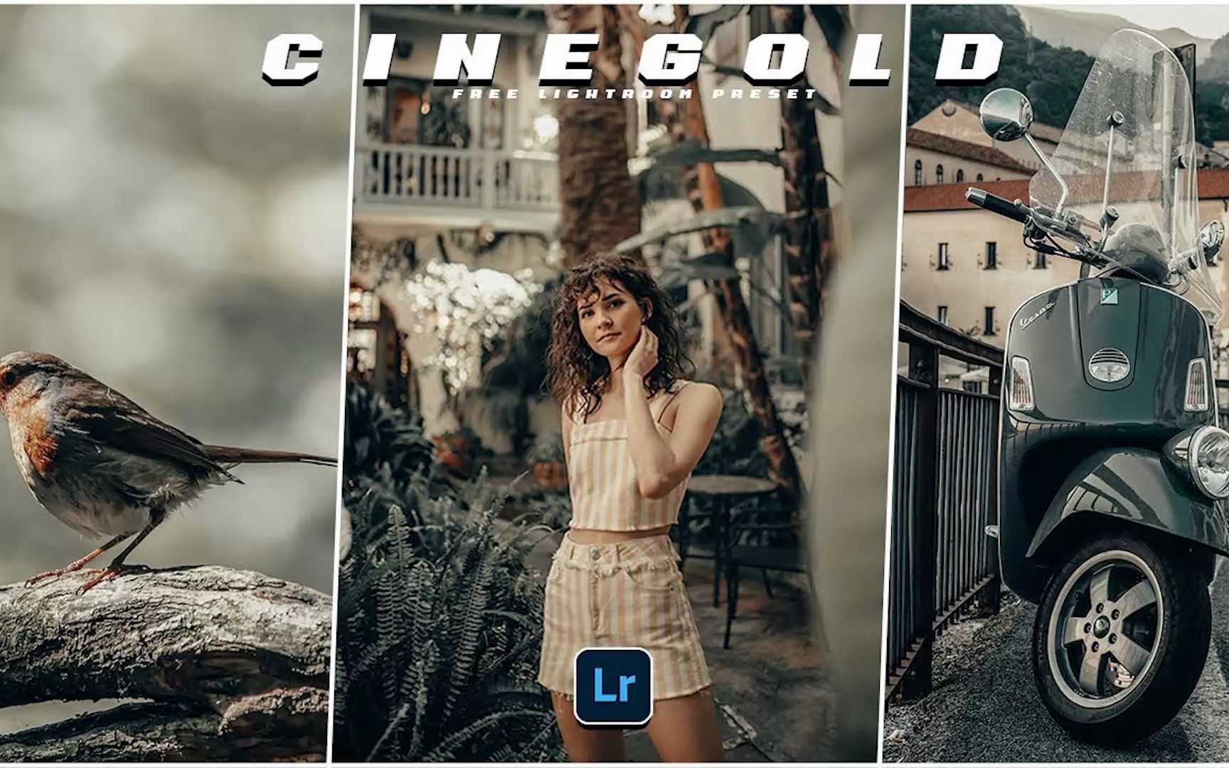 复古电影质感人像动物预设Lr调色教程,附手机滤镜Lightroom+PS预设...