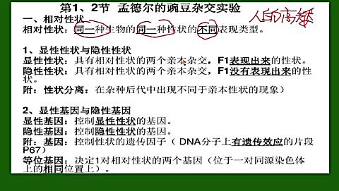 高中生物必修一第一单元复习讲解