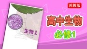 生命活动的基本单位--细胞