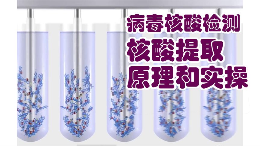 病毒核酸检测,核酸提取,原理和实操