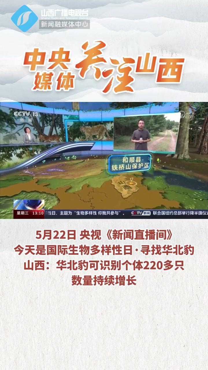 山西:华北豹可识别个体220多只数量持续增长