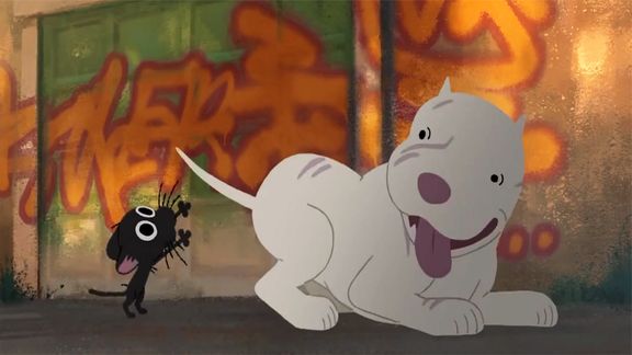 皮克斯暖心动画,小野猫与天敌狗狗做朋友,他们的故事让人唏嘘