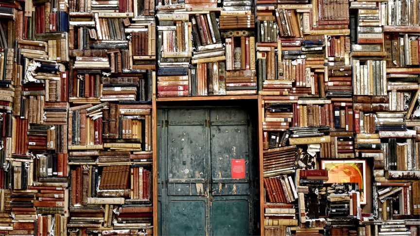 陈春花向北大辞职,回应学历造假:曾如实告知博士学位未被认证