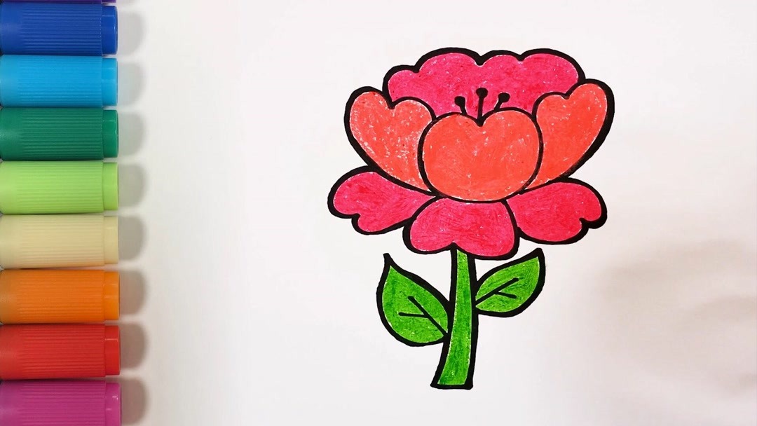 多多学画画 第163集 儿童简笔画 牡丹 宝宝画谷雨节气盛开的牡丹