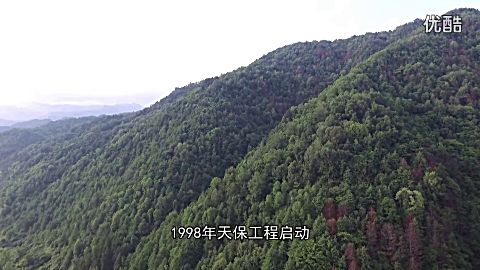 陕西摩天岭自然保护区(申报中国森林氧吧宣传片)