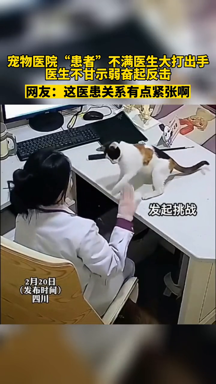宠物医院医患纠纷有点严重啊!