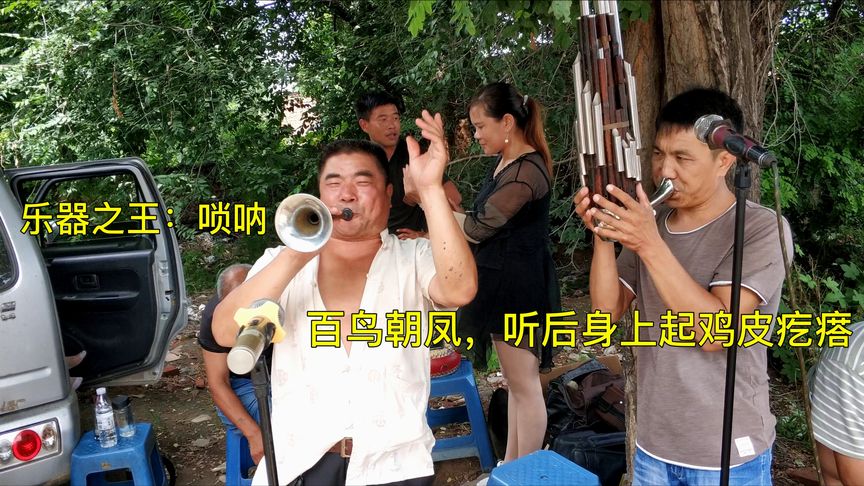 什么叫高手在民间?大叔一曲唢呐:《百鸟朝凤》有四十年的功力!