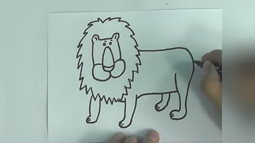 森林之王狮子,简笔画出它的威严