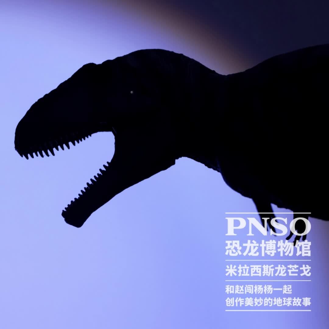 PNSO恐龙大王成长陪伴模型 米拉西斯龙芒戈