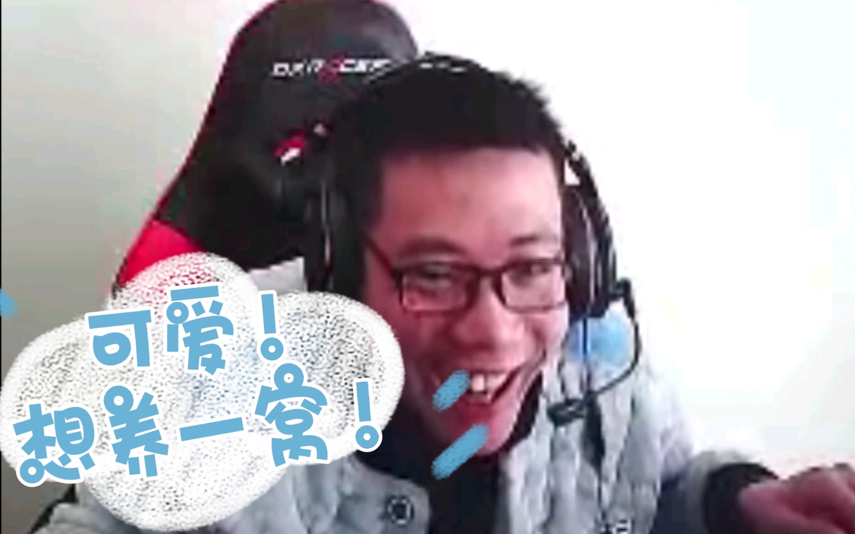 芜湖最可爱啮齿类动物!速来领养!