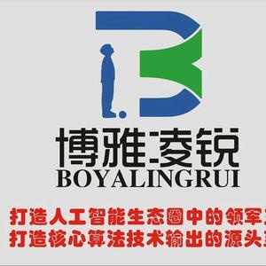 深圳博雅凌锐人工智能科技有限公司 