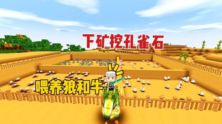 迷你世界:沙漠如何生存?第24期,喂养狼和牛下矿挖孔雀石!