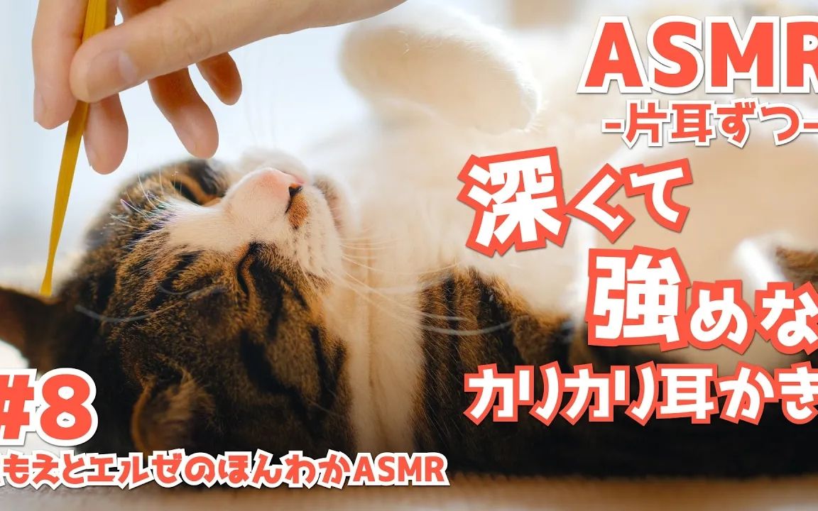 【ともえとエルゼのほんわか】【一图流】【双视频】竹制掏耳勺耳朵...