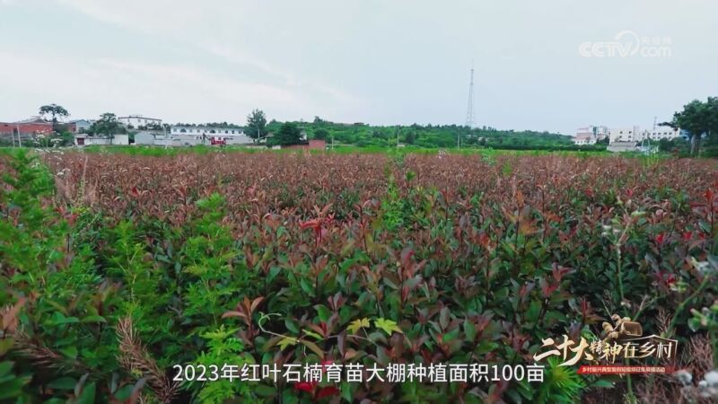 [乡村治理]河南 《创五星支部,擘画乡村振兴》 龙兴街道办事处