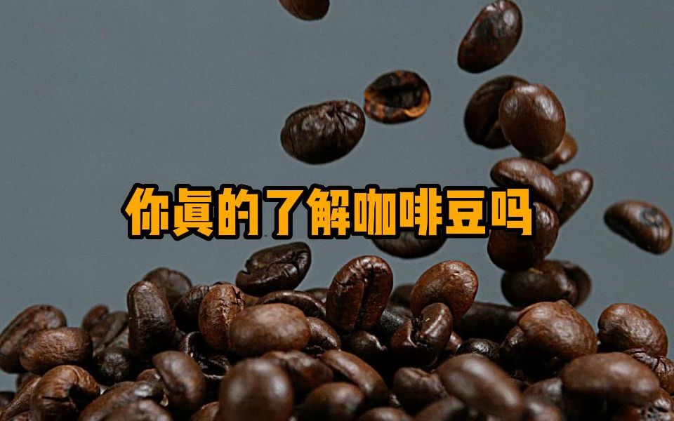你真的了解咖啡豆吗?