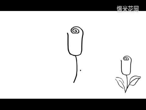 简笔画植物篇之花朵(三)