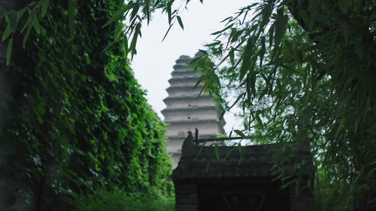 人人的博物馆:弘扬中华优秀传统文化(来源:文物陕西)