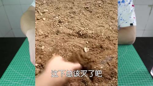 二氧化碳灭火器VS防风防水火柴,你们猜谁会胜出?