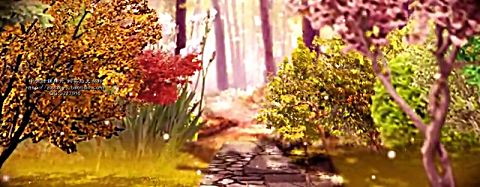 CP742梦幻森林 唯美景色舞蹈晚会LED演出视频动态背景素材