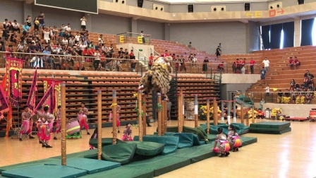 中华人民共和国第十届大学生舞龙舞狮锦标赛甲组男子南狮自选套路比赛