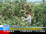 [新闻直播间]关注电商扶贫·甘肃陇南:电商冷热不均 转型升级路在何方