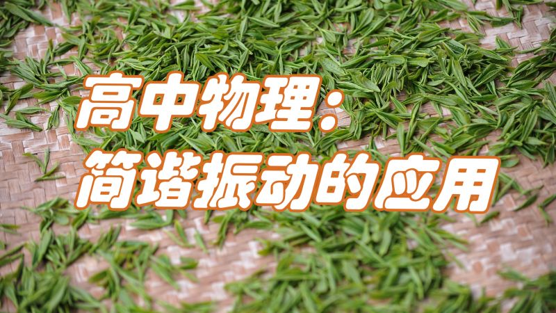高中物理:简谐振动的应用分析