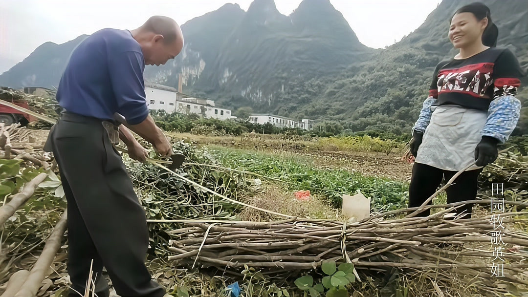 农村大叔砍下的树枝以为没人要,因此还发愁,没想到这么抢手