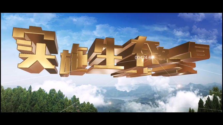 涪陵参加重庆十大生态修复案例评选项目_大顺乡全域国土综合整治