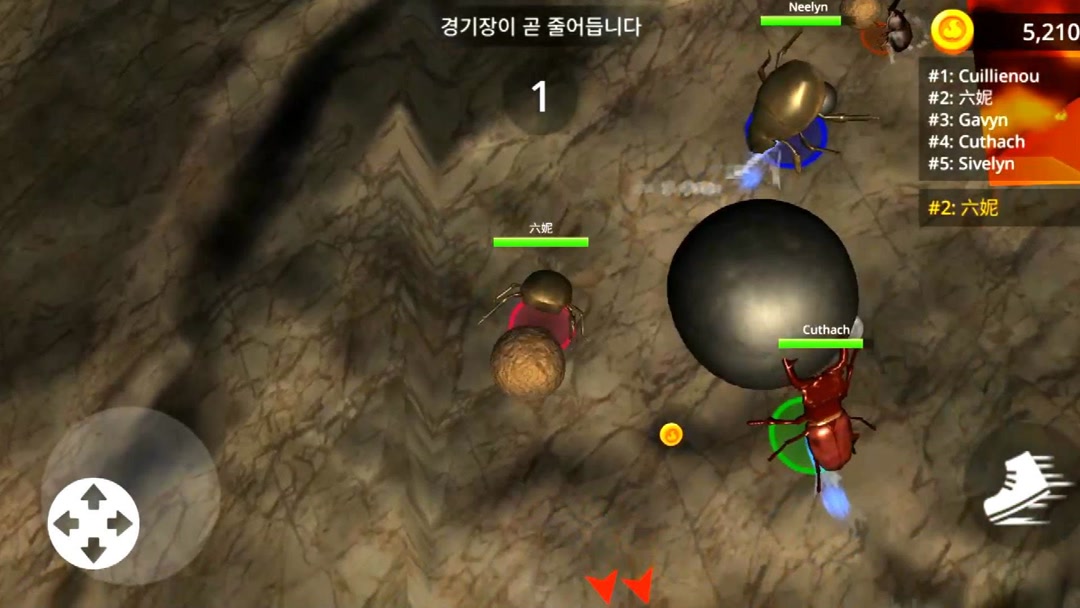 动物生存模拟器:你知道一只屎壳郎能把屎球滚多大吗?太厉害了