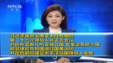 习近平离京出席亚太经合组织第二十六次领导人非正式会议 对巴布亚...
