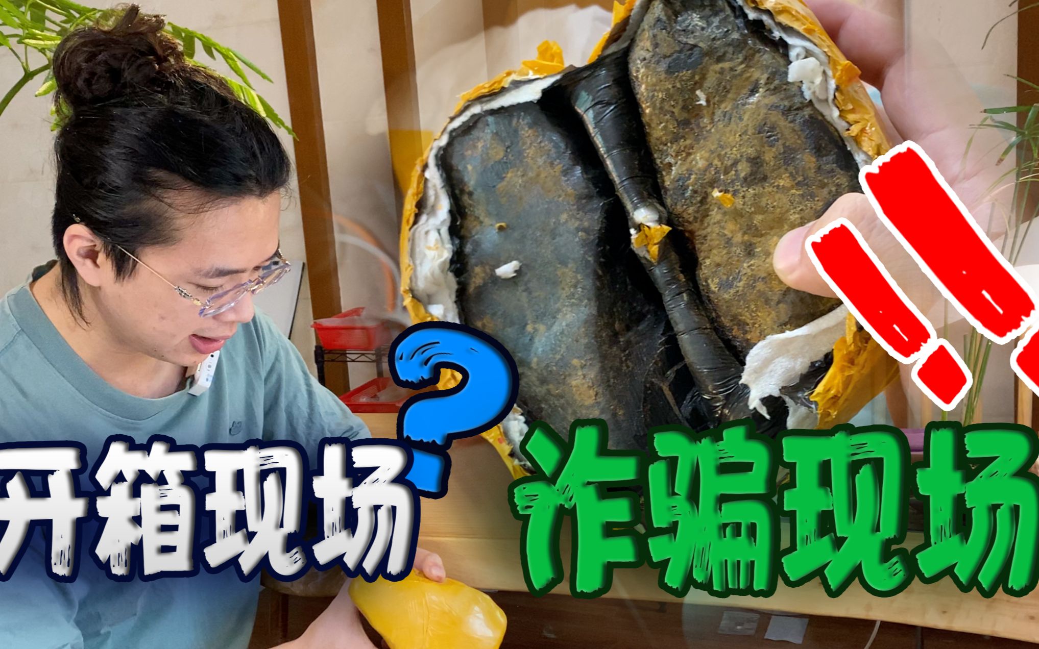前所未见的翡翠皮壳,第一次开蒙包,结果变成了大型上当受骗现场!