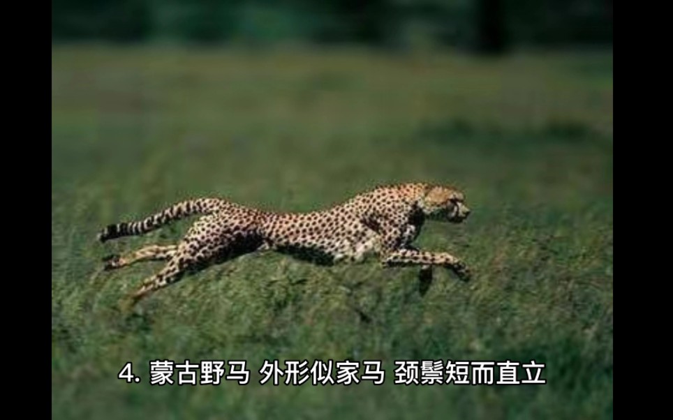 保护环境,珍爱生命