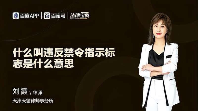 什么叫违反禁令指示标志是什么意思