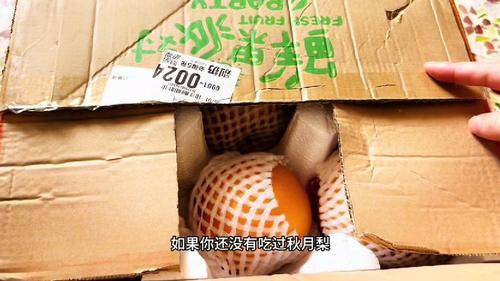 大家吃秋月梨有没有感到太甜了啊