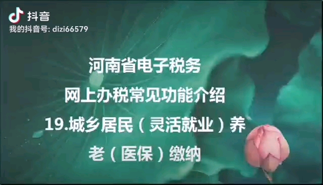 河南省电子税务网上办税常见功能介绍19城乡居民灵活就业养老医保...