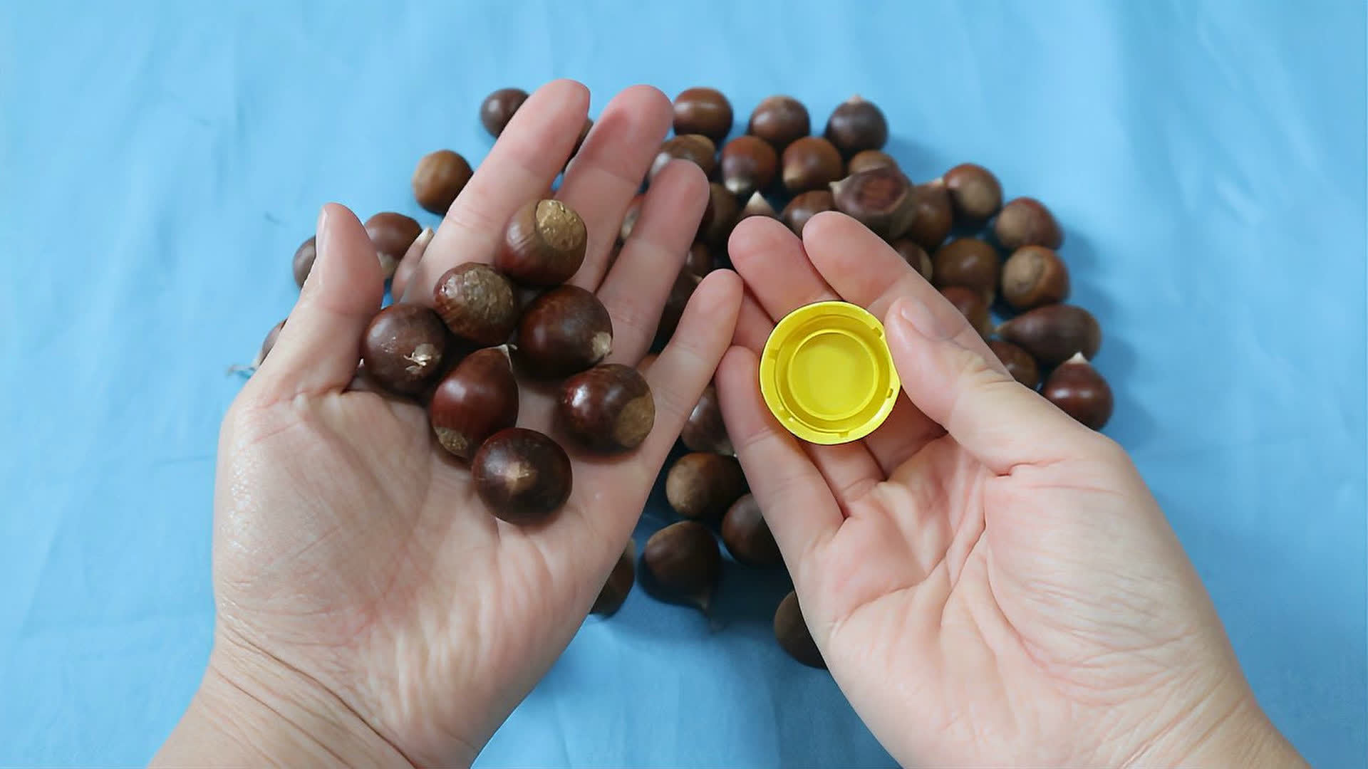 板栗开口别再用刀切,只需一个瓶盖,简单快速不伤手,真实用