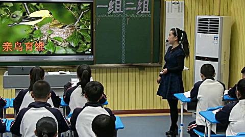 5.人教版初中生物八年级上册《第一节 动物的运动》吉林省市级优课