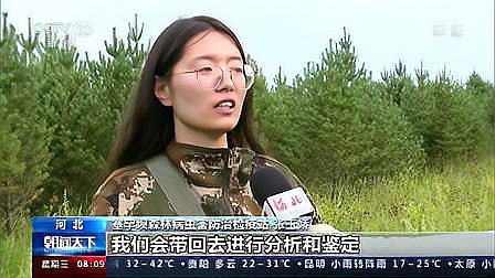河北 提升造林质量 塞罕坝续写绿色传奇