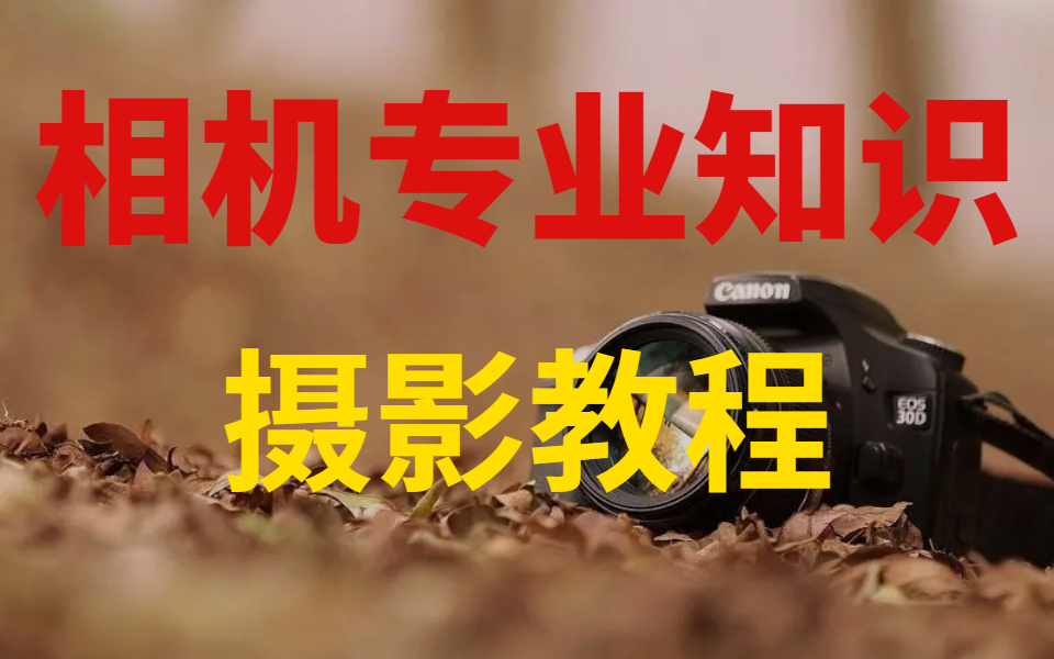 数码相机专业知识,摄影爱好者必看基础知识,让你对相机器材有全新的...