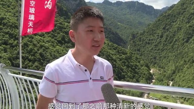 9D玻璃桥、高空滑道!陇南这个景区年接待游客40万人次