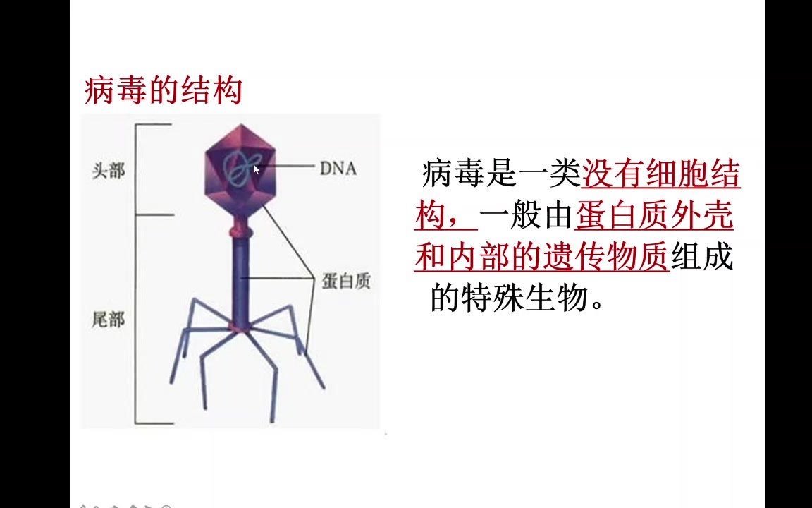 初二生物,微生物在生物圈中的作用,课时2