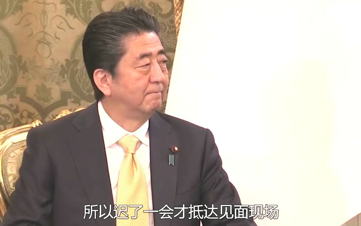 盘点普京会见各国总统名场面,特朗普像变了个人,安倍晋三最窝囊