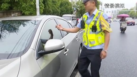 酒后在车上睡觉也算酒驾吗?交警告诉你答案!